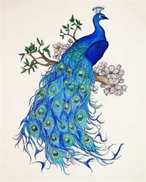How To Paint A Peacock Easy At Francis Plante Blog