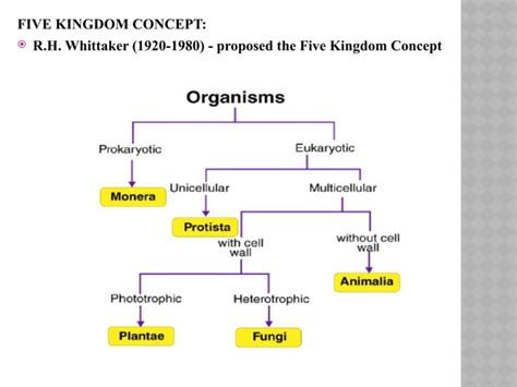 Basics Of Microbiology Types History Etc Ppt
