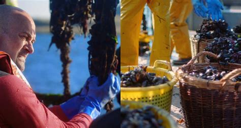 My Lidl Job TBWA LDN We Are The Disruption Company