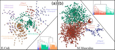 Figure 1 From Multi Scale Laplacian Community Detection In Heterogeneous Networks Semantic Scholar