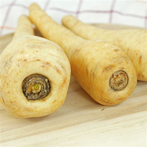 Parsnip A Brief Introduction