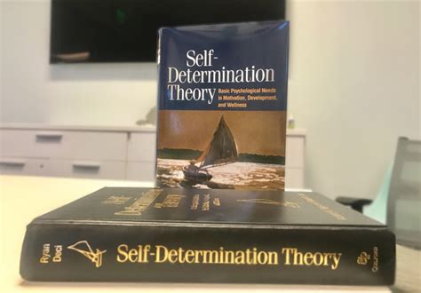 New Sdt Book By Ryan And Deci Get Your Special Discount Now