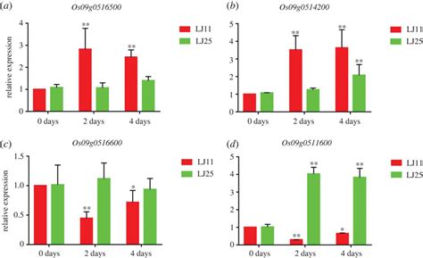 Quantitative Real Time Pcr Based Validation Of The Relative Expression Download Scientific