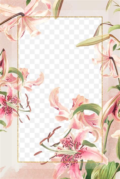 Vintage Pink Lilies Png Frame Premium Png Rawpixel