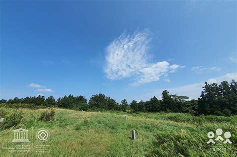 작품 읽어드리는 세계유산축전입니다👍 오늘은 첫 번째 길의 ⑧번 작품을 소개해드릴게요 ⠀ 이번 전시는 유네스코 세계자연유산의 가치를 널리 알리고 향유하기 위해 마련되는