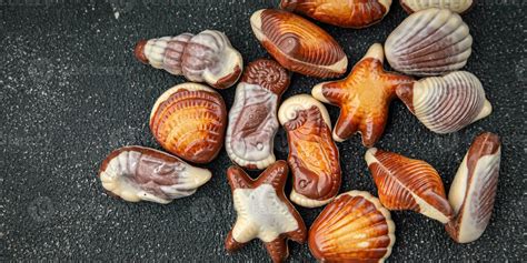 Seashell Candy Chocolate Sweet Seashells Dessert Eating Meal Food Snack On The Table Copy Space