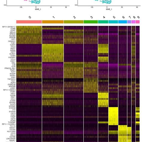 Clusters Of Single Cell Rna Sequencing Data A Based On Available Download Scientific Diagram
