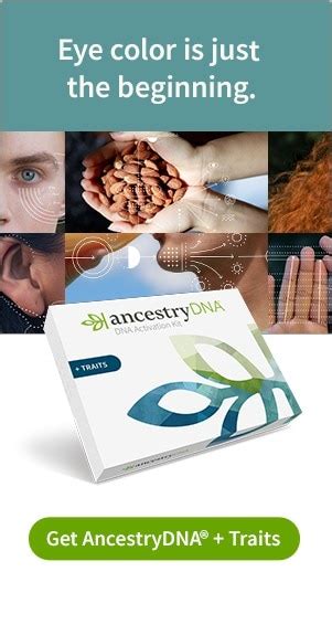 Non Coding Dna Ancestrydna® Learning Hub