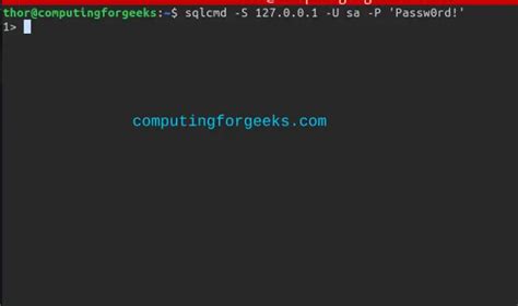 Manage Databases Users And Permissions In MSSQL Server 2022 ComputingForGeeks