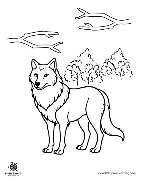 16 Best Wolf Coloring Pages Free Printable Wolf Coloring Sheets