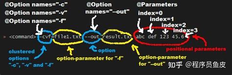 使用 Picocli 开发 Java 命令行，5 分钟上手 知乎