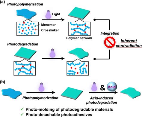 Fabrication Of Photoprocessable Materials Via Photopolymerization Using An Acid‐induced