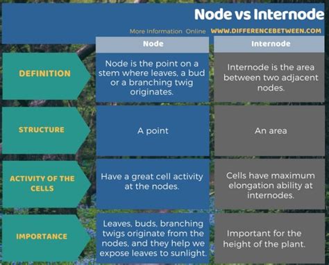 Difference Between Node And Internode Compare The Difference Between