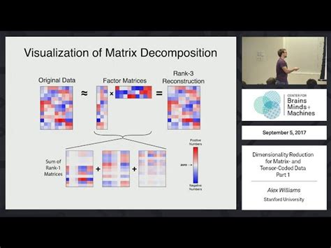 Free Video Dimensionality Reduction For Matrix And Tensor Coded Data From Mitcbmm Class Central