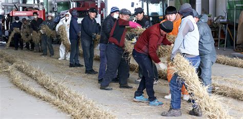 “길다 길어” 대보름 줄다리기 새끼줄 꼬기 경북매일