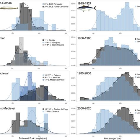 size at capture density curves and histograms of estimated fl cm for
