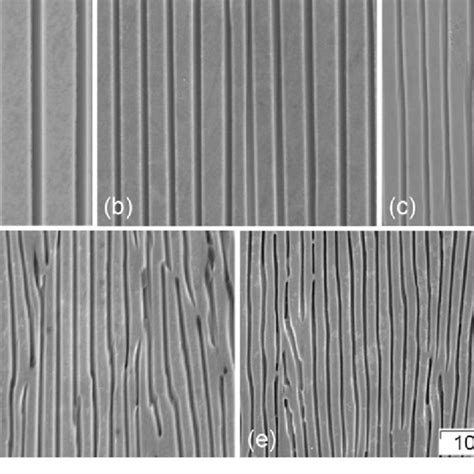 Lamellar Eutectic Growth Morphologies At The Steady State Growth Region Download Scientific