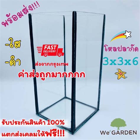 🎊🎉โหลปลากัดขนาด 3x3x6 3x3x7 นิ้ว ตู้ปลา ตู้ปลาขนาดเล็ก ปลากัด Shopee Thailand