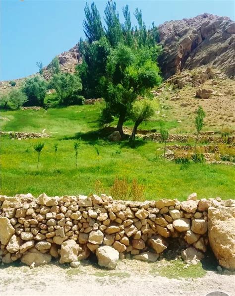 جوانان ولسوالی فرسی