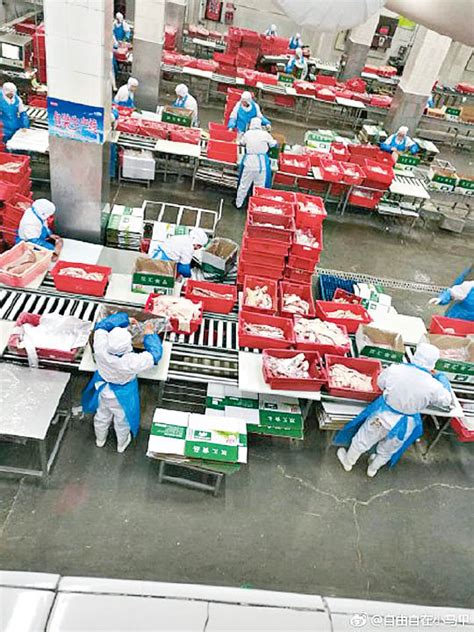 非洲豬瘟蔓延 鄭州封屠宰場 東方日報