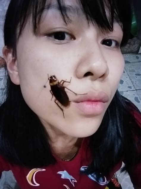 Face Your Fears New Cockroach Challenge Not For Faint Hearted Asia