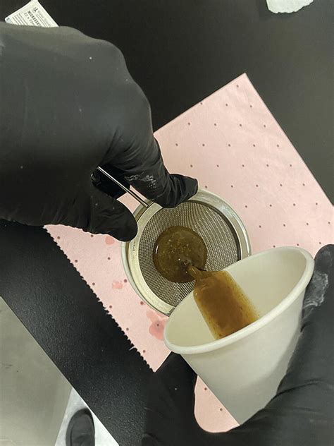 Fecal Flotation Veterian Key