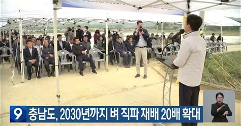 충남도 2030년까지 벼 직파 재배 20배 확대