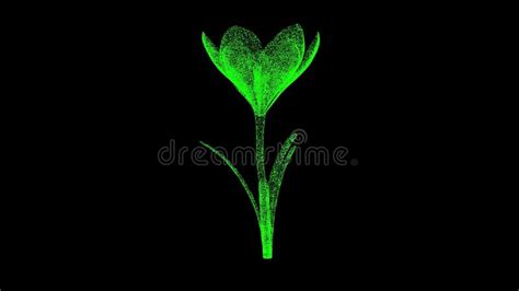 3d Spring Flower On Black Bg Object Dissolved Green Flickering Particles Business Advertising