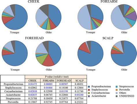 Comparison Of The Relative Abundance Of Major Bacterial Genera The