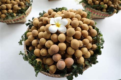 ក្រសួង កសិកម្ម រុក្ខាប្រមាញ់ និងនេសាទ រៀបចំ ពិធី សម្ពោធ ជា ផ្លូវ ការ ការ នាំ ចេញ ផ្លែ មៀន ស្រស់