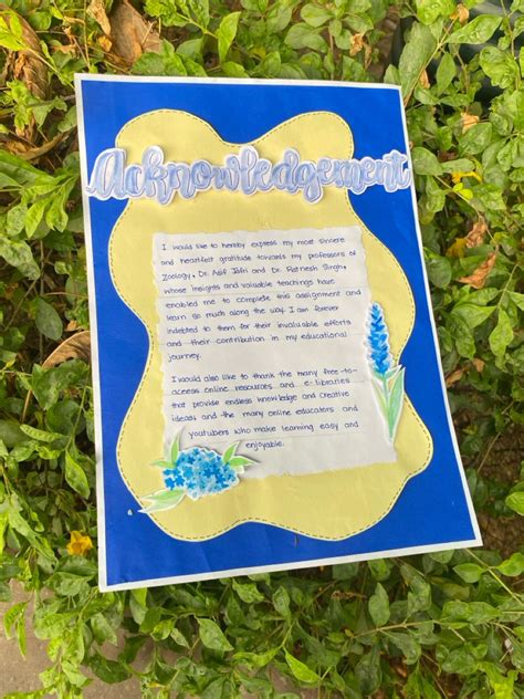 Assignment Page Acknowledgement In 2025 Book Art Projects Creative School Project Ideas