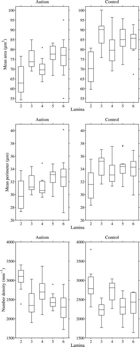 Box Plots Of Estimated Boolean Model Parameters By Lamina The Boolean