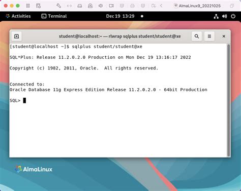 How To Wrap Sqlplus To Use Up Arrow And Backspace Editing