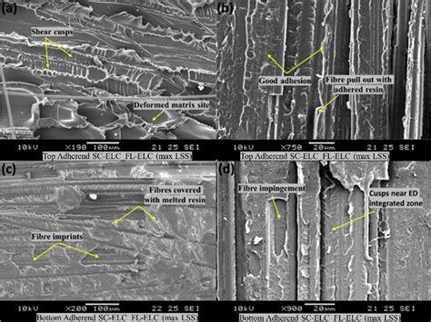 Scanning Electron Microscope Sem Fractography Of Sc Elcfl Elc At