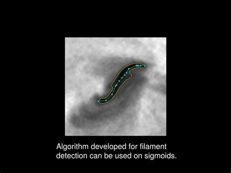 Ppt Automated Detection And Characterization Of Solar Filaments And