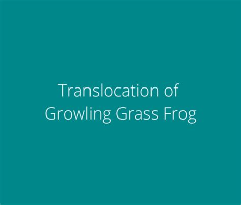 Translocation Of Growling Grass Frog Biosis