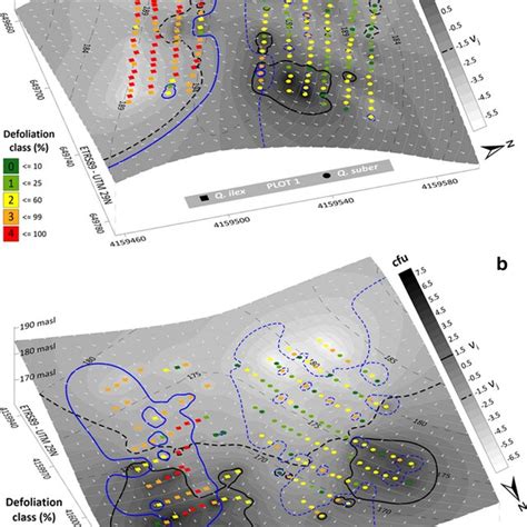 3d Topographical Representation Of The Study Plots With The Spatial