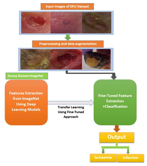 A Deep Learning Approach For Diabetic Foot Ulcer Classification And Recognition