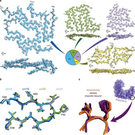 Cryo Em Structures Of Nucleoporin Fg Fibrils A Single Cross Sections Download Scientific