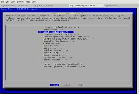 Exploring Linux Kernel Theosin