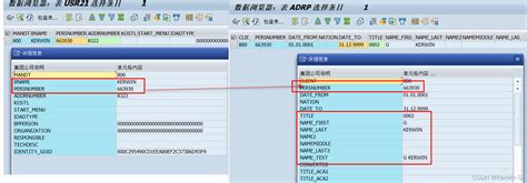 Sap 常见取数逻辑 001 用户信息sap Select Usr21 Csdn博客