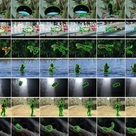Qualitative Results For Video Segmentation On The Segtrack V2 Dataset