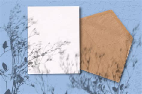 파란색 배경에 흰색 종이가 있는 봉투입니다 식물 그림자의 오버레이와 모형 자연광이 들판 식물과 꽃의 그림자를 위에서 투사합니다 0명에 대한 스톡 벡터 아트 및 기타 이미지