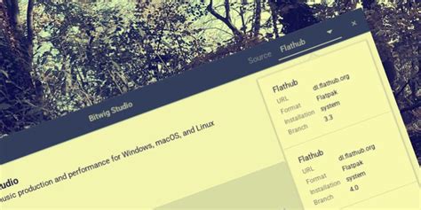 How To Install Flatpak On Debian
