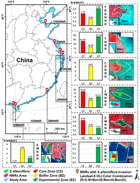 Spatial Distribution Of S Alterniflora And Statistics Of Invasive Download Scientific Diagram