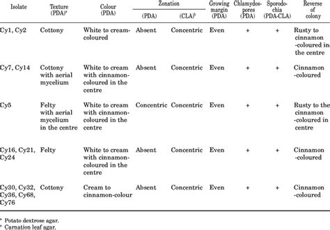 Colony Characters Of Cylindrocarpon Destructans Isolates Download Table
