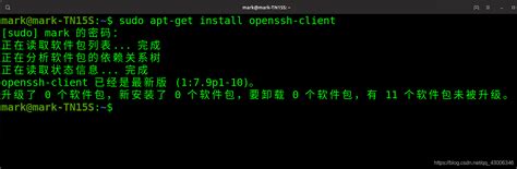 ubuntu系统下远程控制树莓派 ubuntu系统下远程操控树莓派 ssh与vnc view教程 csdn博客