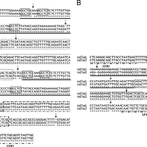 Schematic Representation Of The Amplified TCR Sequences A Comparison Download Scientific