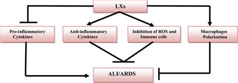 Role Of Lipoxins Lxs In The Prevention Of Acute Lung Injury Ali And Download Scientific
