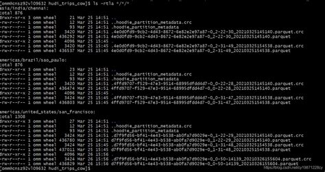 Hudi实战 源码巴士